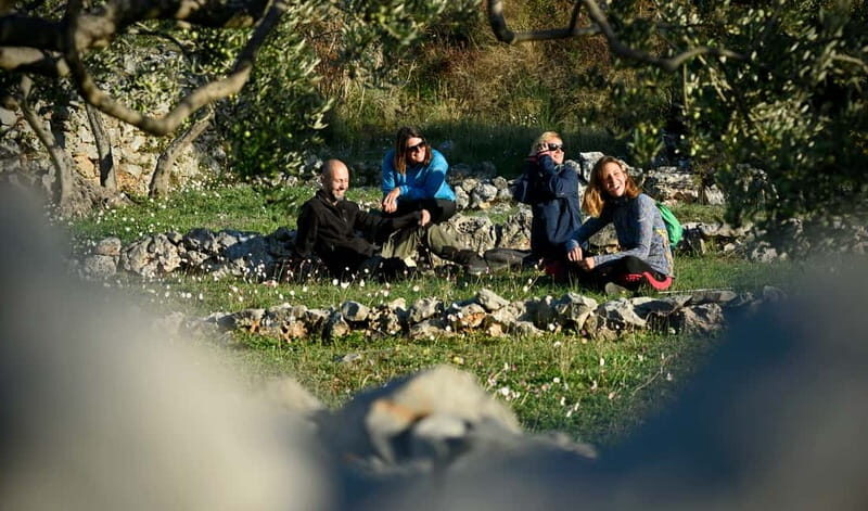 Bra island: Hiking Vidova gora krip Museum of olive oil - Why This Tour Is Great Value