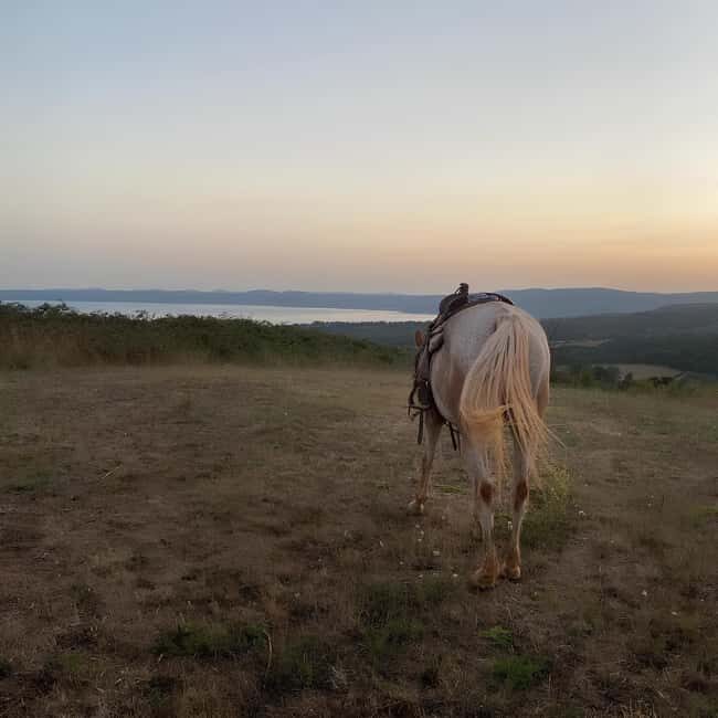 Bracciano: Horseback Ride in the Tolfa Mountains - Practicalities and What to Prepare