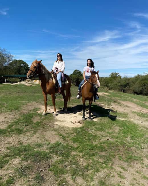 Bracciano: Horseback Ride in the Tolfa Mountains - How It Compares with Other Lazio Adventures