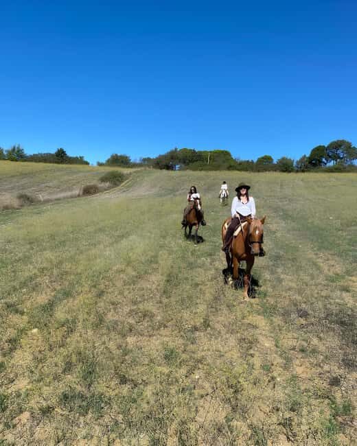 Bracciano: Horseback Ride in the Tolfa Mountains - Who Should Book This Tour?