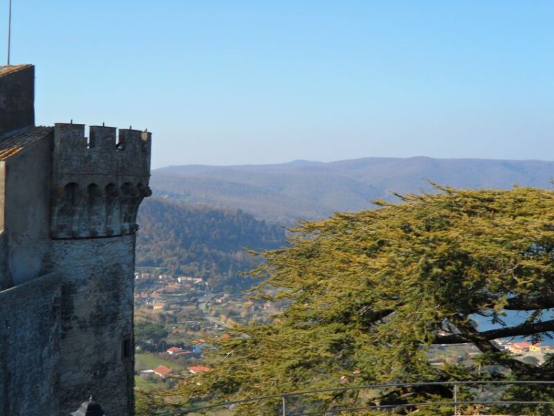 Bracciano: Odescalchi-Orsini ancient Castle Tour with Lunch - Lakeside Lunch: A Taste of Local Italy