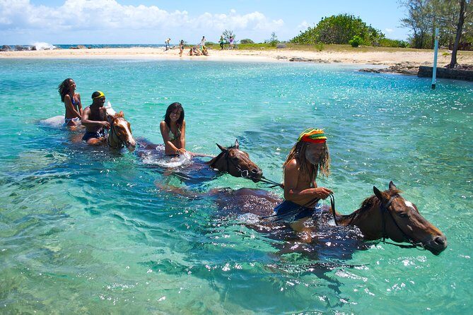 Braco Stables Horseback Ride & Swim Excursion from Ocho Rios - Introduction