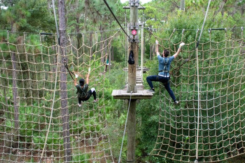 Bradenton: Adventure Course Entry Ticket - The Experience: A Closer Look at What the Tour Offers