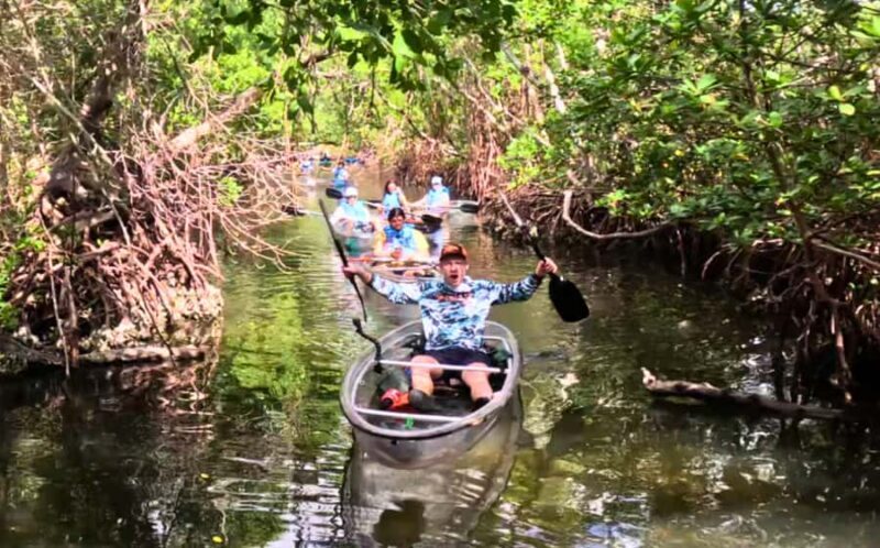Bradenton: Clear Kayak Mangrove Tunnel Eco Tour - The Ecosystem and Conservation
