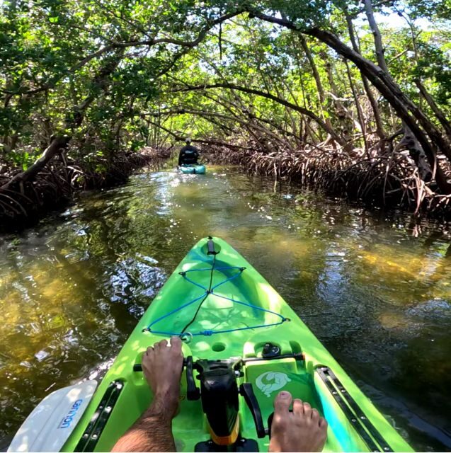 Bradenton: Guided Pedal Kayak Tour - Authentic Perspectives and Real Experiences
