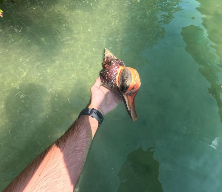 Bradenton: Guided Pedal Kayak Tour - Final Thoughts