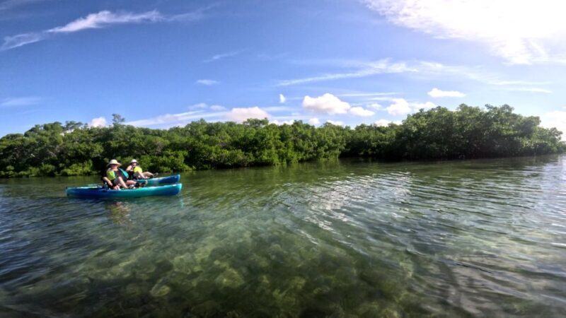 Bradenton: Guided Pedal Kayak Tour - FAQs