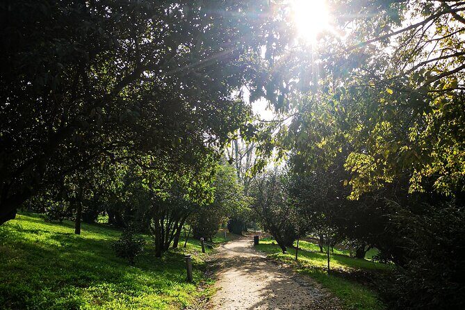 Braga and Guimarães Private Tour with Lunch - Transportation & Timing: Comfort and Flexibility