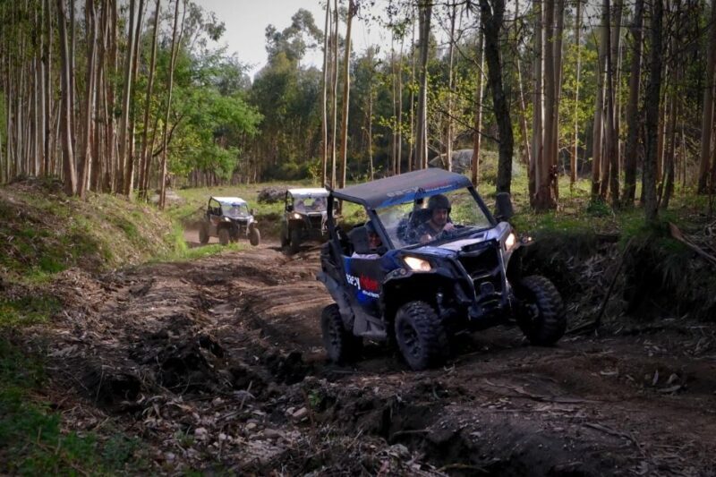 Braga: off-road buggy tour - Key Points