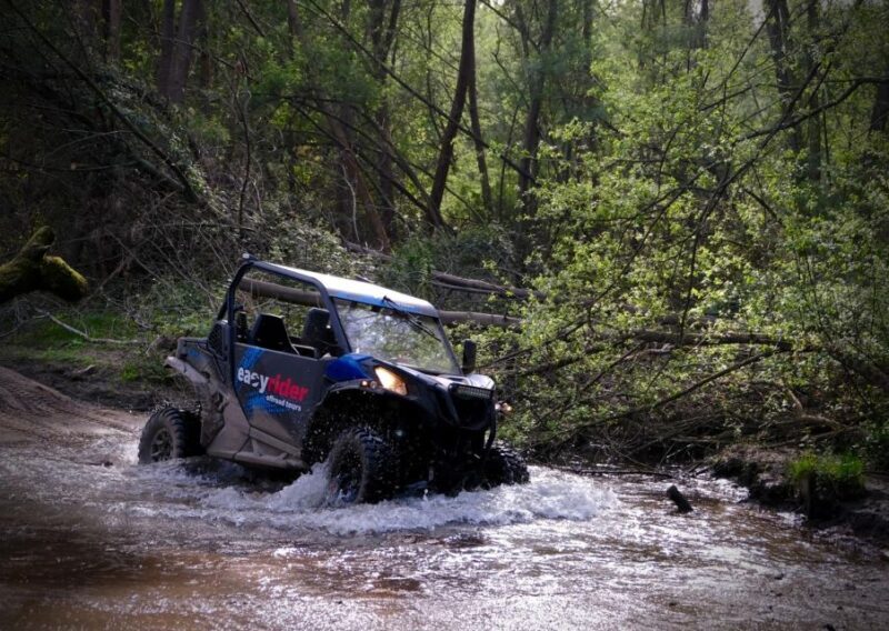 Braga: off-road buggy tour - Final Thoughts
