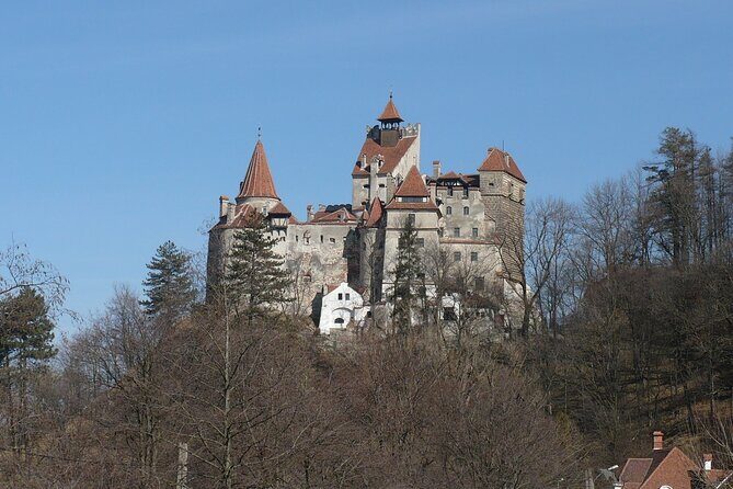 Bran Castle and more options tour from Brasov - Who Should Book This Tour?