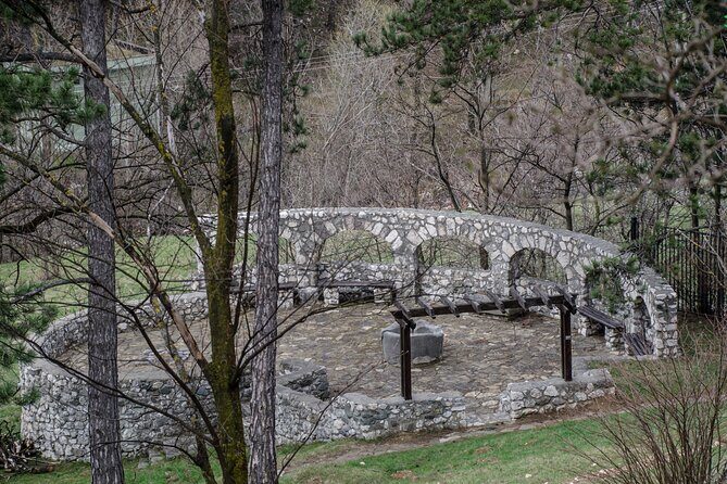 Bran Castle, Bear Sanctuary, and Rasnov Fortress Half Day Tour - An Overview of the Itinerary: What to Expect from Each Stop