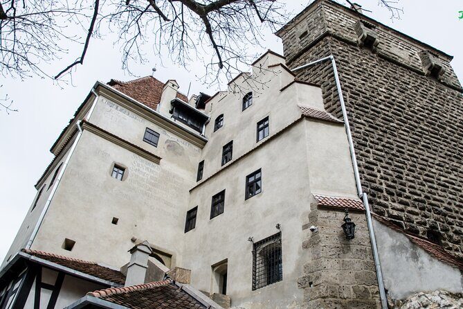 Bran Castle, Bear Sanctuary, and Rasnov Fortress Half Day Tour - Authentic Experiences and Travel Tips