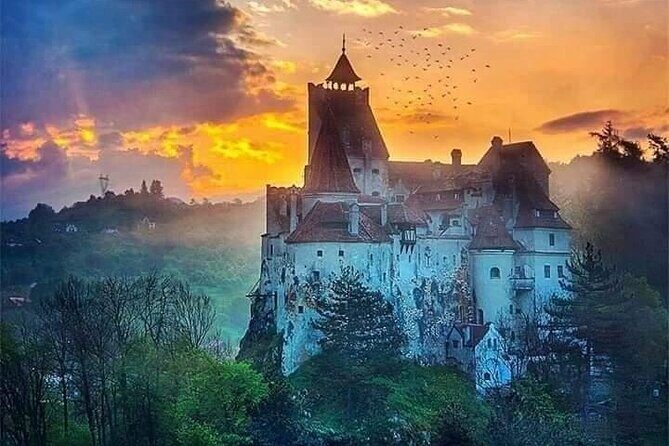 Bran Castle, Rasnov Fortress, Harman & Prejmer Fortified Churches Day Tour - Exploring the Itinerary: A Deep Dive into What to Expect