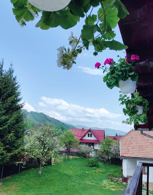 Bran: Rural Tour with Local Food & Accommodation in imon - Key Points