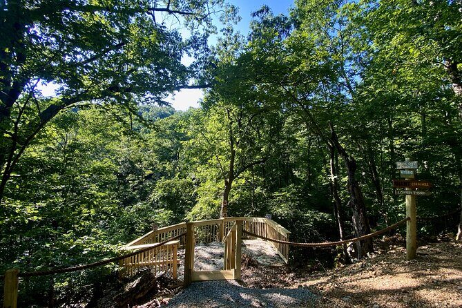 Branson Cart Adventures - How Does It Compare?