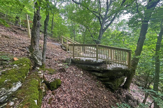 Branson Cart Adventures - Who Should Consider Branson Cart Adventures?