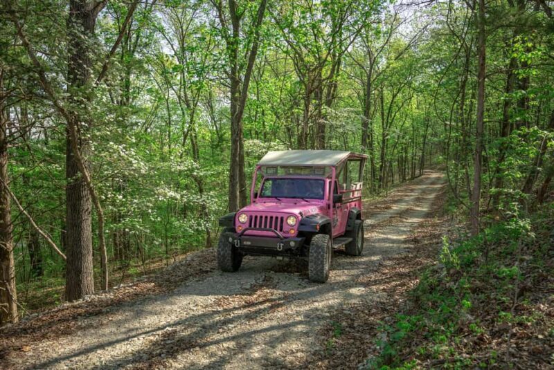 Branson: Downtown to Mountaintop Pink Jeep Adventure - The Natural Thrill: Baird Mountain and 4x4 Adventure
