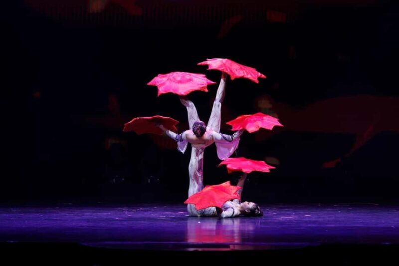 Branson: Grand Shanghai Circus Show Entry Ticket - Practical Details & What You Get
