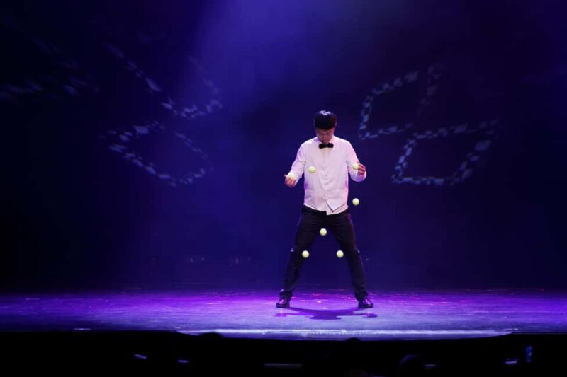 Branson: Grand Shanghai Circus Show Entry Ticket - Final Thoughts: Who Is It Best For?