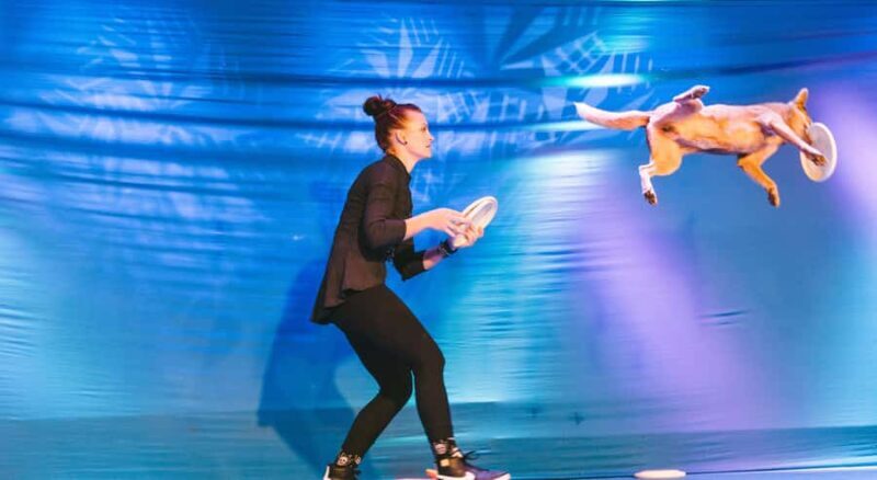 Branson: Pets and Giggles Kid's Comedy Show - Key Points