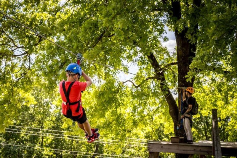 Branson: Zipline Canopy Tour - The Practicalities: Price, Duration, and What You Need to Know
