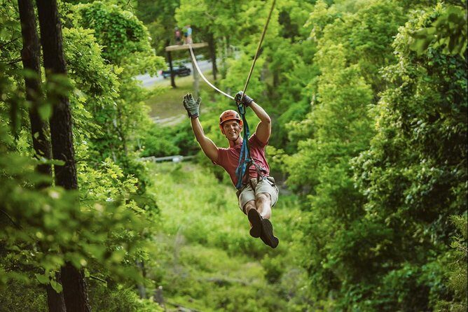 Bransons Best Zipline - Great Woodsman Canopy Tour - What Reviews Reveal About the Experience