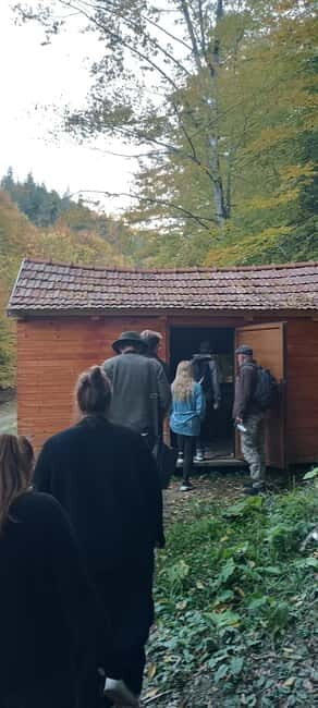 Braov: 4-Hour Bear Watching Tour in Carpathian Mountains - Key Points