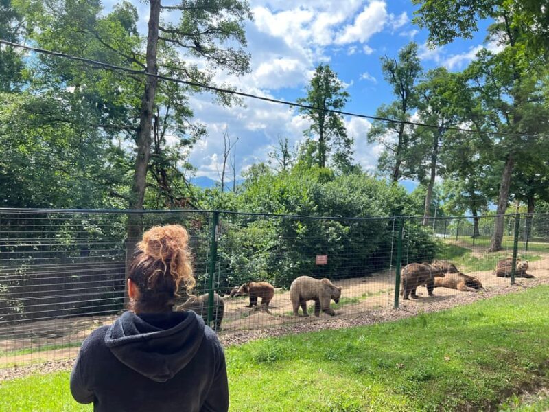 Brasov: Bran Castle, Bear Sanctuary, Rasnov (Peles Optional) - Why This Tour Offers Great Value