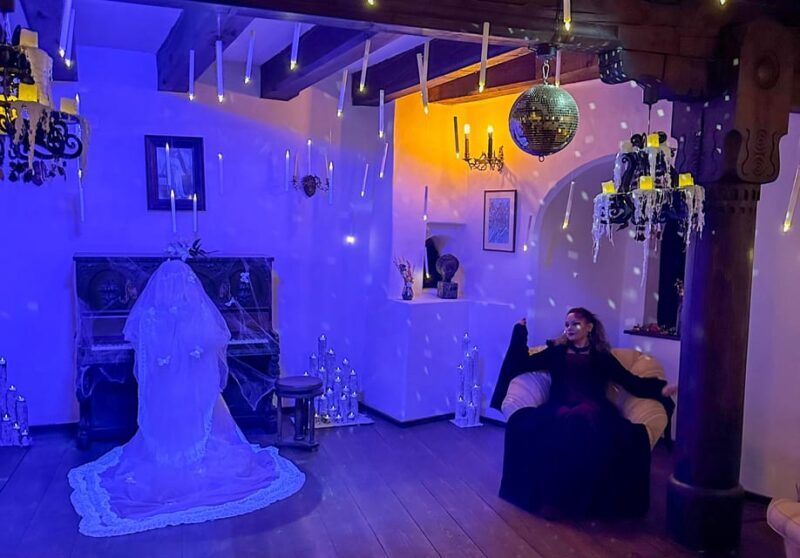Brasov: Bran Castle Halloween Party & Night Tour + Transport - Considerations and Possible Drawbacks