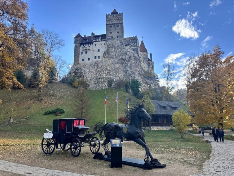 Brasov: Bran Castle Halloween Party & Night Tour + Transport - Who Would Love This Experience?
