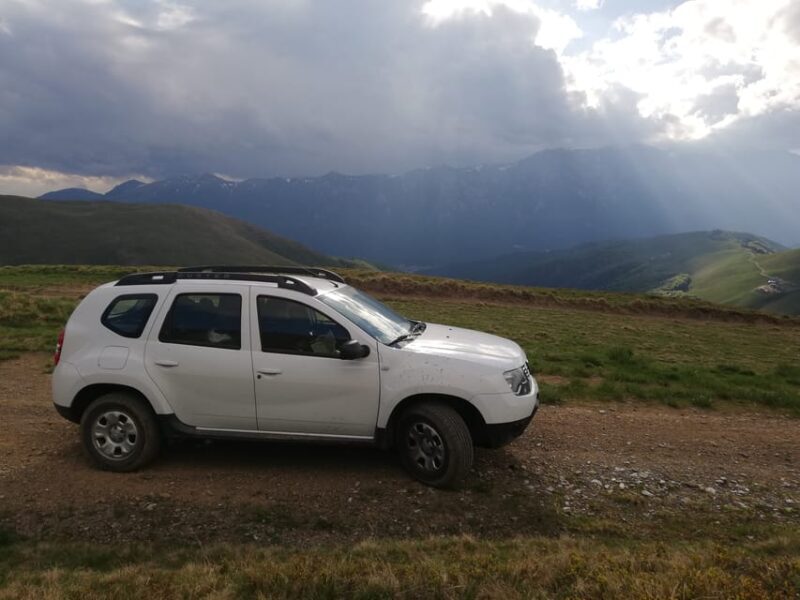Brasov: Brown Bear & Wildlife Watching - FAQ