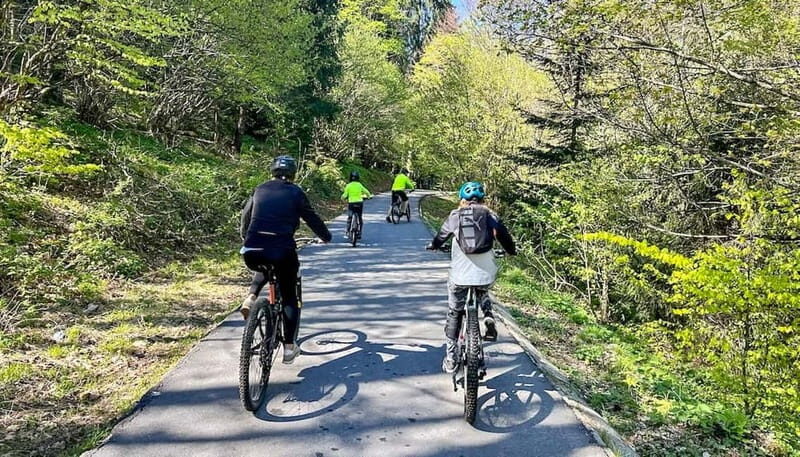 Brasov: eBike Tour to Poiana Brasov (Old Town & Forest) - Key Points