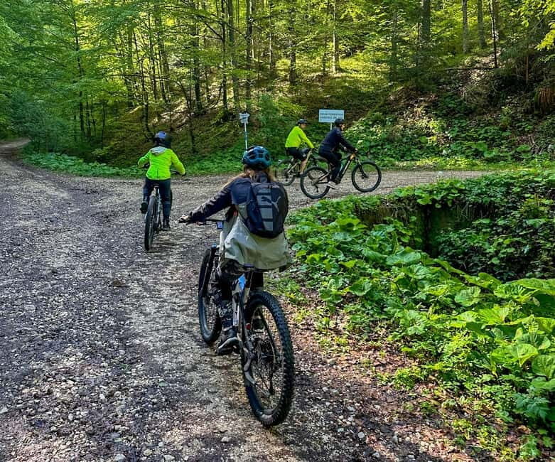 Brasov: eBike Tour to Poiana Brasov (Old Town & Forest) - An In-Depth Look at the Experience