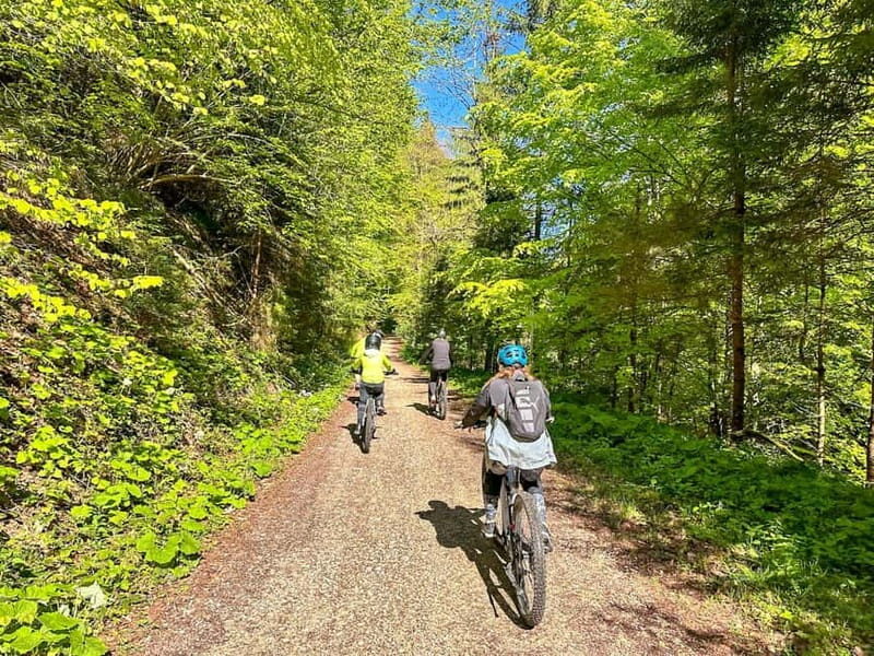 Brasov: eBike Tour to Poiana Brasov (Old Town & Forest) - What’s Included and Practical Details
