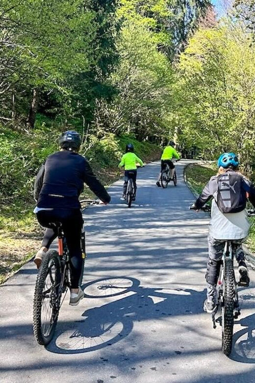 Brasov: eBike Tour to Poiana Brasov (Old Town & Forest) - Value and Why It Stands Out
