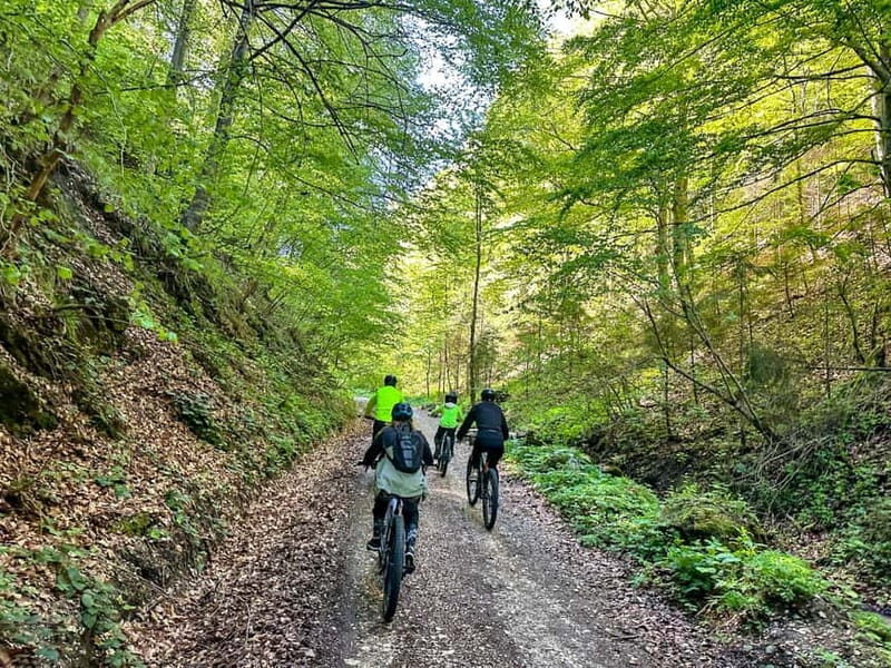Brasov: eBike Tour to Poiana Brasov (Old Town & Forest) - FAQ