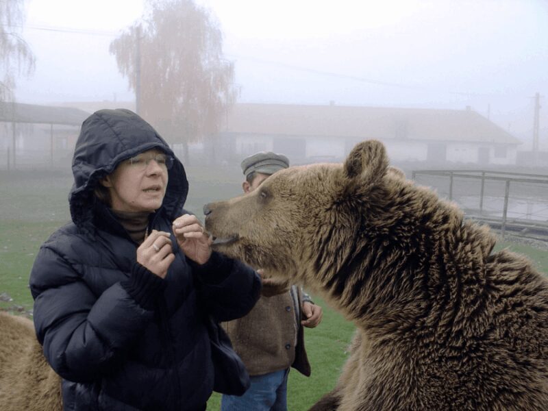 Brasov: Libearty Bear Sanctuary - Key Points