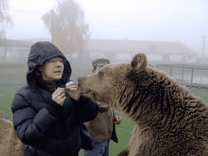 Brasov: Libearty Bear Sanctuary - Who Should Consider This Tour?
