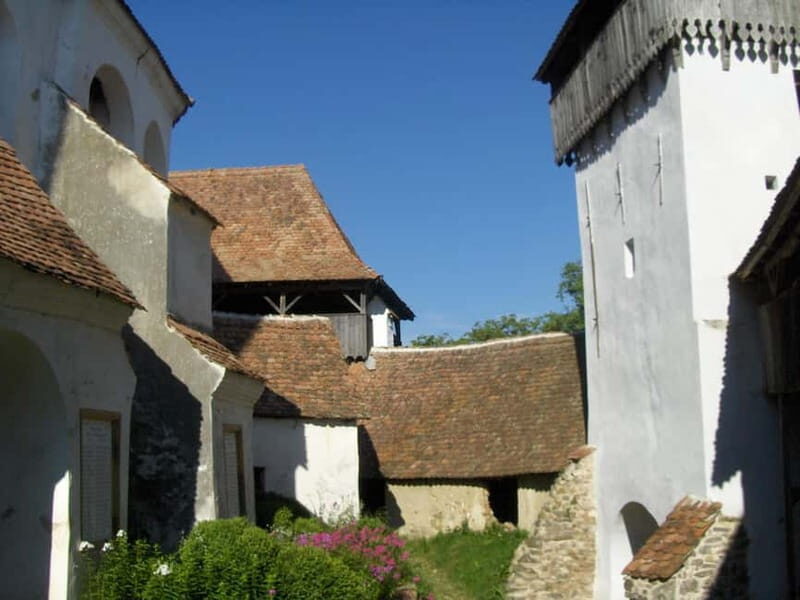 Brasov: Saxon Fortified Churches Day Tour with Guide - An In-Depth Look at the Tour