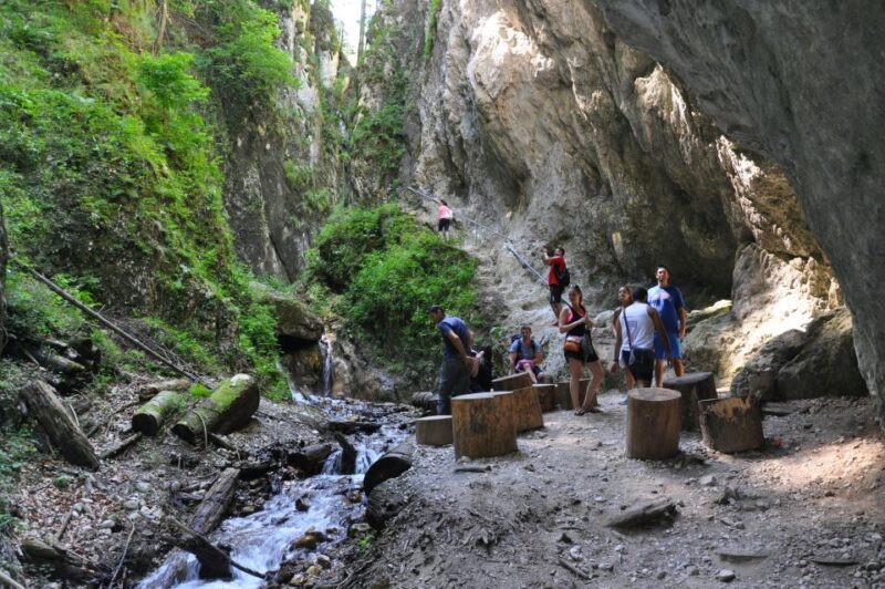 Brasov: Small-Group 7 Ladders Canyon Day Trip - Key Points