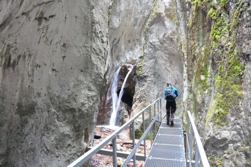Brasov: Small-Group 7 Ladders Canyon Day Trip - Pricing and Value: Breaking It Down