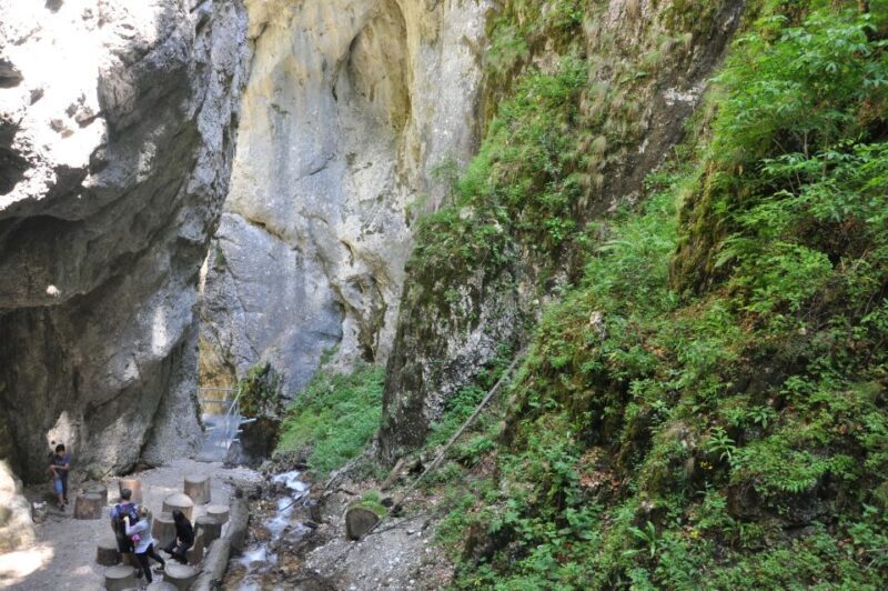 Brasov: Small-Group 7 Ladders Canyon Day Trip - What Makes This Tour Stand Out