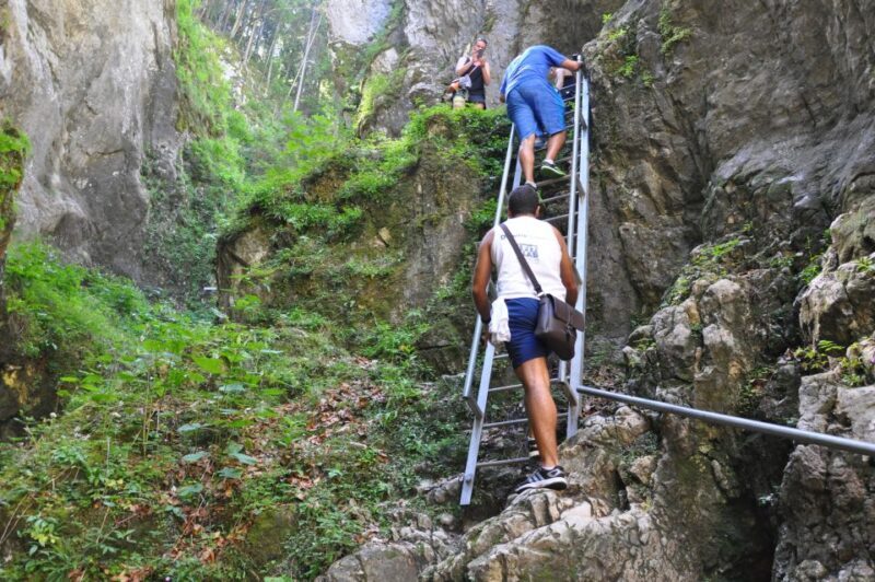 Brasov: Small-Group 7 Ladders Canyon Day Trip - Frequently Asked Questions (FAQs)
