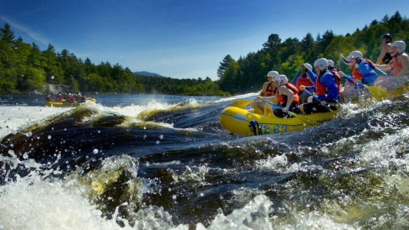 Brasov: Wild Water Rafting Day Trip - An Exciting Rapids Experience