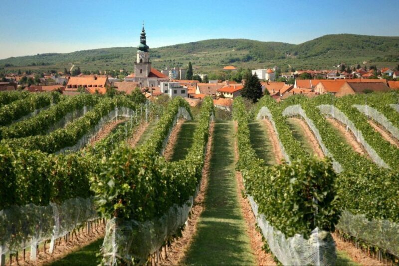 Bratislava: 6,5-Hour Carpathian Wine Tour and Tasting - Key Points