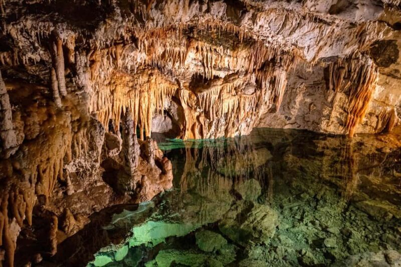Bratislava: High Tatras, Demänovská Cave & Spi Castle Tour - A deep dive into the day’s highlights