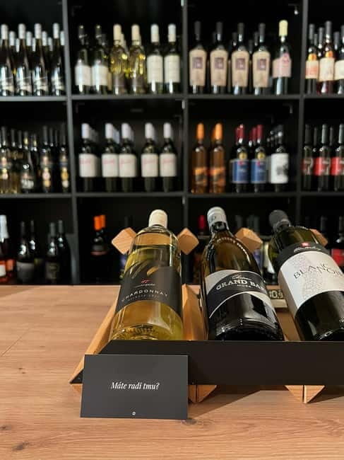 Bratislava: Wine Tasting Experience in the Dark - An In-Depth Look at the Experience