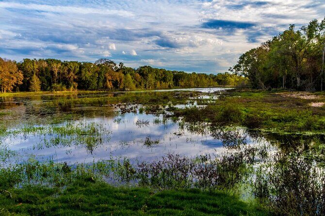 Brazos Bend Wildlife and Nature Tour - A Detailed Look at the Brazos Bend Wildlife and Nature Tour