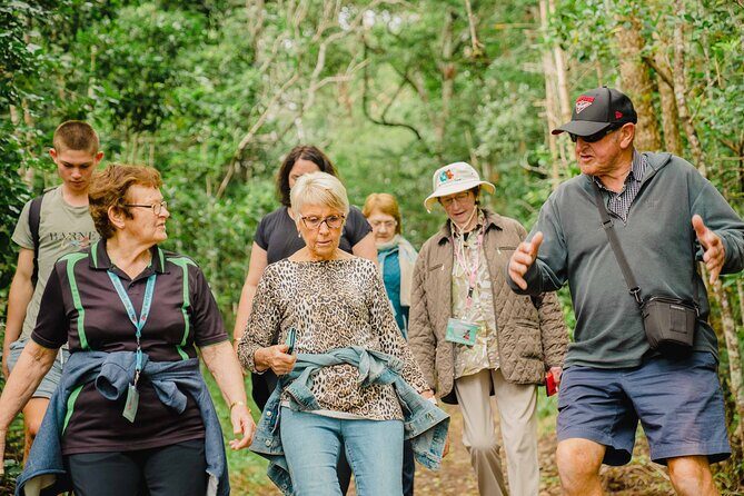 Breakfast Bushwalk & Clifftop BBQ Tour - Discover Norfolk Island’s Best Views and Flavors with the Breakfast Bushwalk & Clifftop BBQ Tour